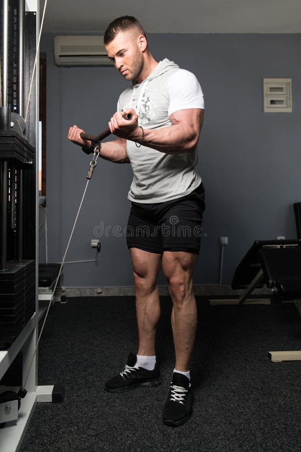 Bodybuilder Exercising Biceps Stock Image - Image of flexing, male ...