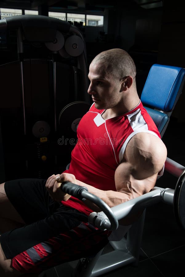 Bodybuilder Exercising Biceps Stock Photo - Image of human, healthy ...