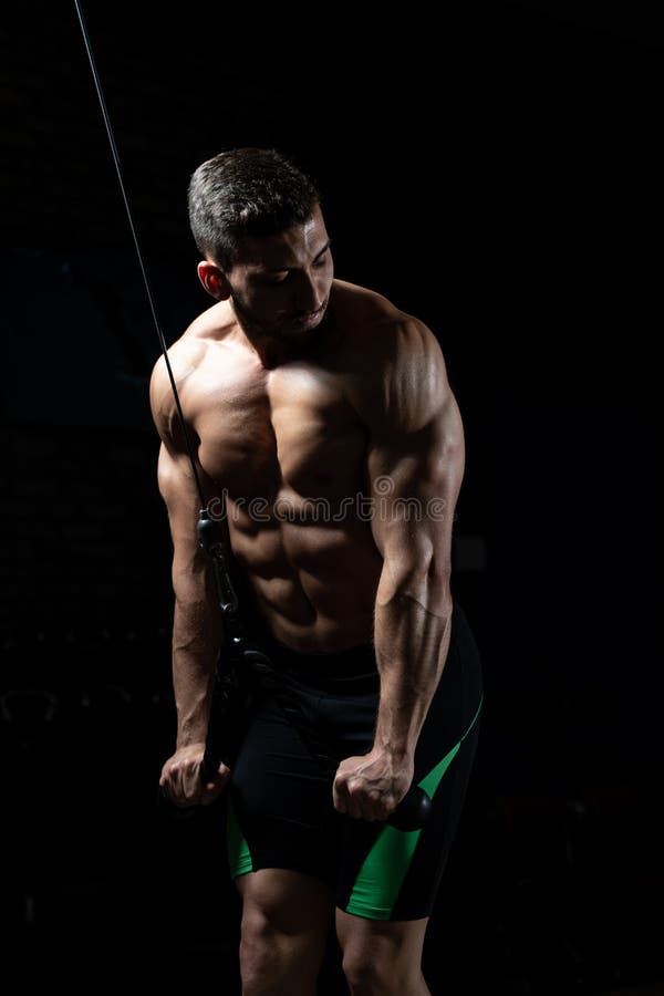 Bodybuilder Exercising Triceps Stock Image - Image of lifestyle ...