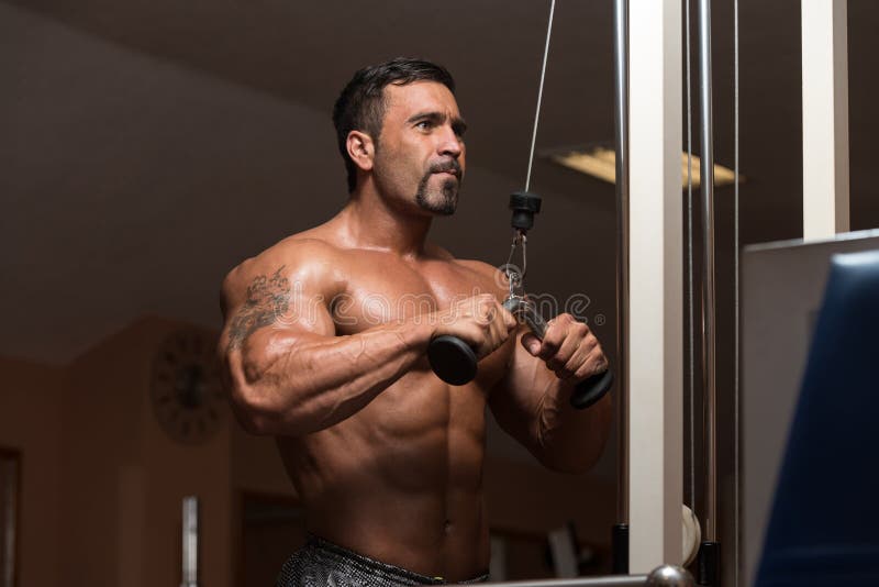 Bodybuilder Exercising Triceps Stock Photo - Image of club, biceps ...