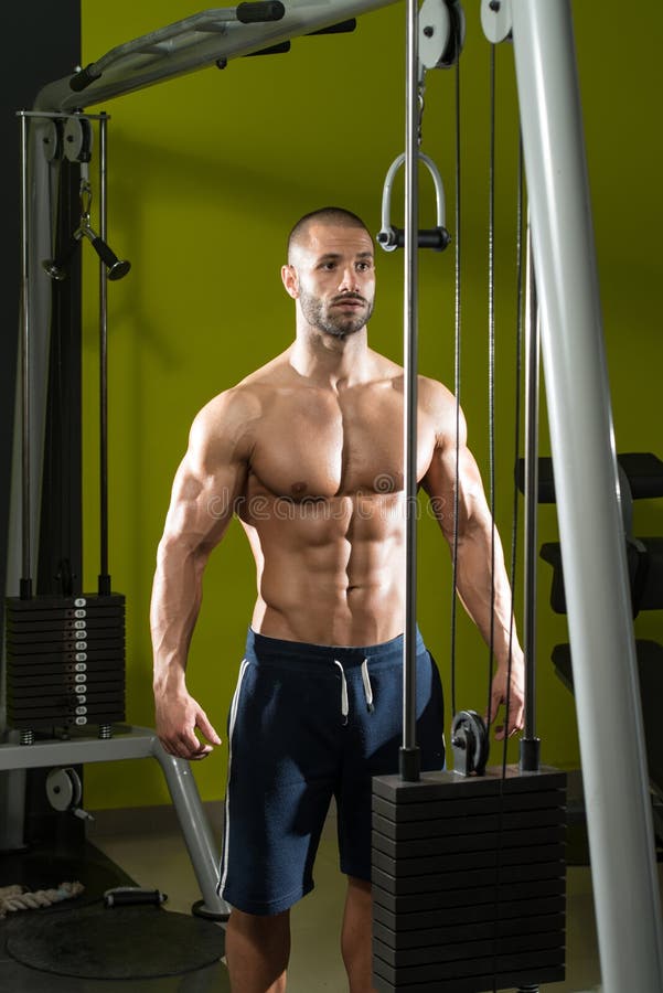 Bodybuilder Exercising Triceps Stock Image - Image of healthy, build ...