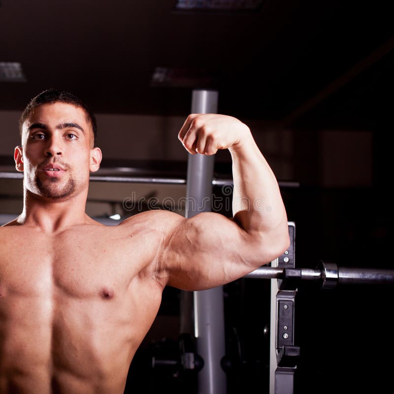 Bodybuilder stock image. Image of bench, flex, sportsman - 36358107