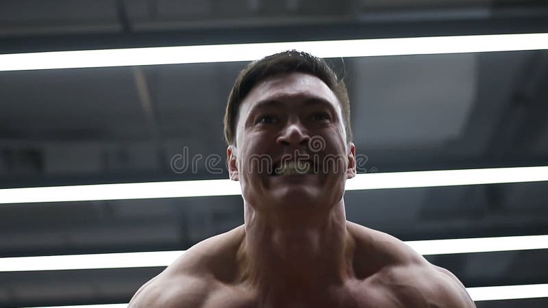 The Bodybuilder is Grueling Exercises in the Gym Stock Video - Video of ...