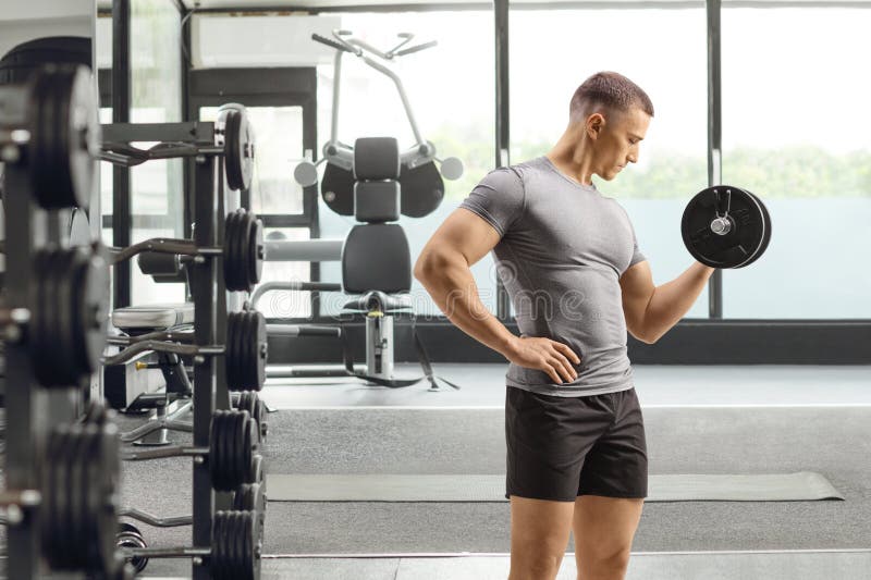 Bodybuilder at a Gym Exercising Stock Photo - Image of bicep, male ...