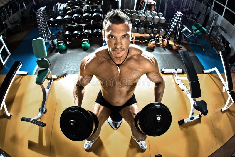 Strong Bodybuilder Training Muscles in Gym Stock Photo - Image of bicep ...