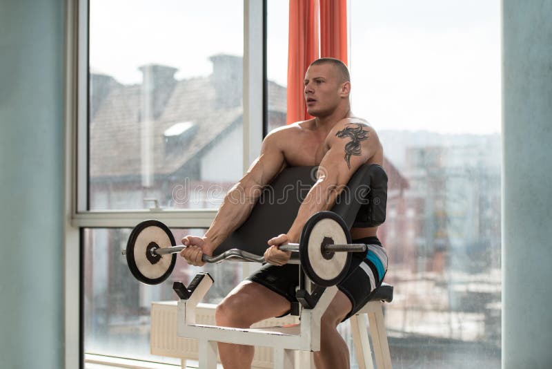 Bodybuilder Performing Biceps Curls with a Barbell Stock Photo - Image ...