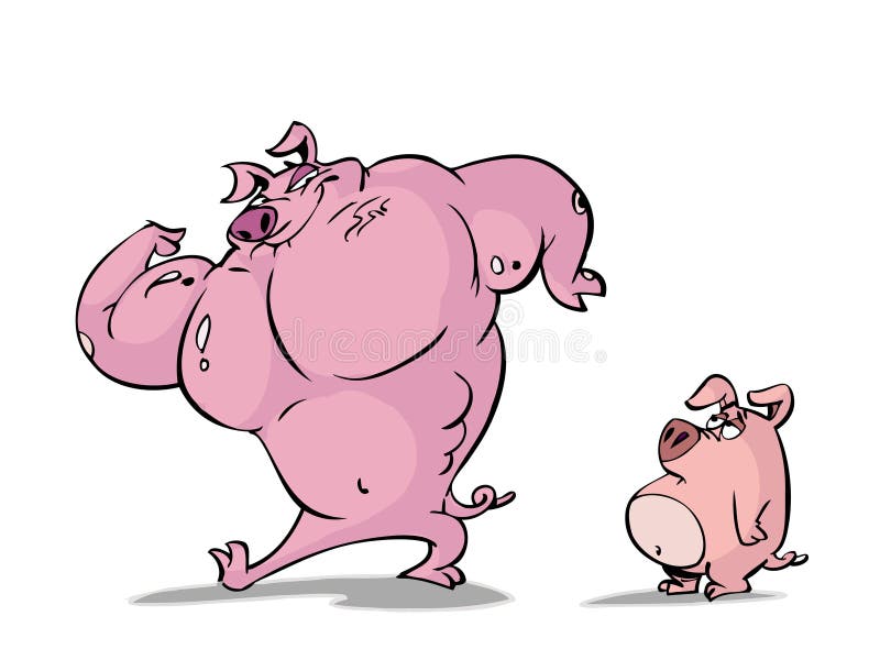Bodybuilder pig stock illustration. Illustration of cartoon - 13251380