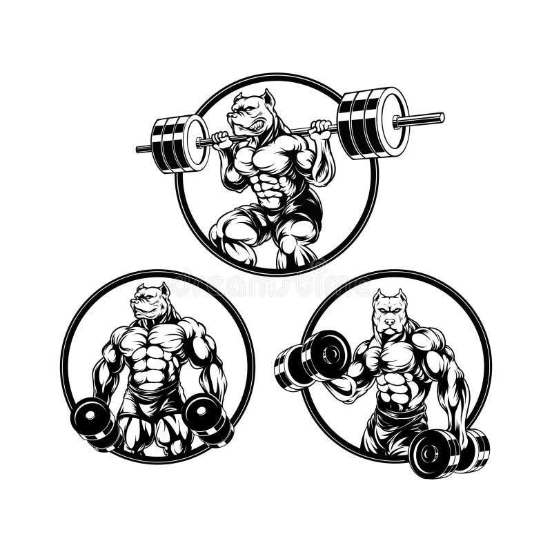 Bodybuilder Pitbull Gym Graphic Set Stock Vector - Illustration of ...