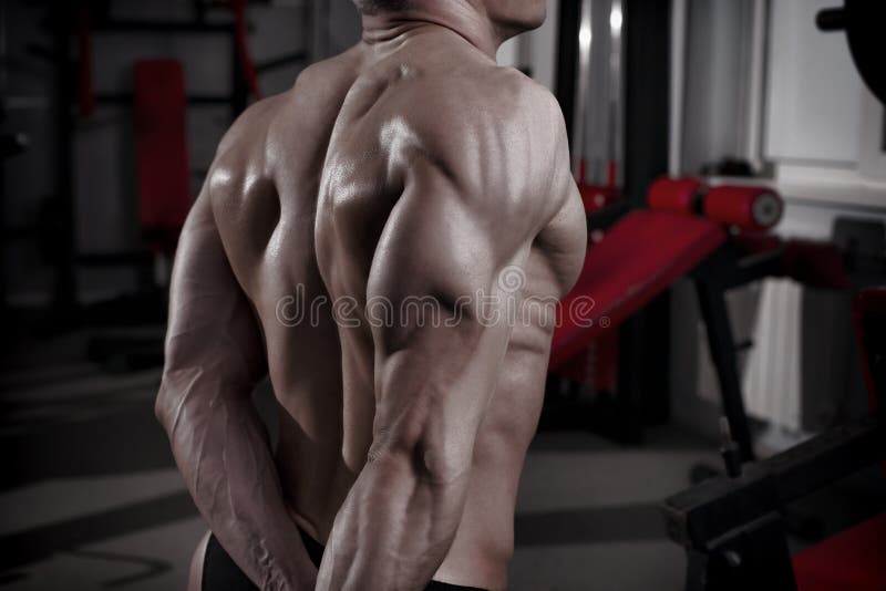 Bodybuilder Posing in Gym. Perfect Muscular Male Back Stock Image ...