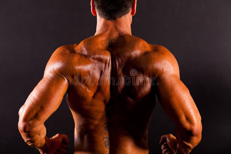 Bodybuilder s back stock image. Image of hunk, health - 24724435