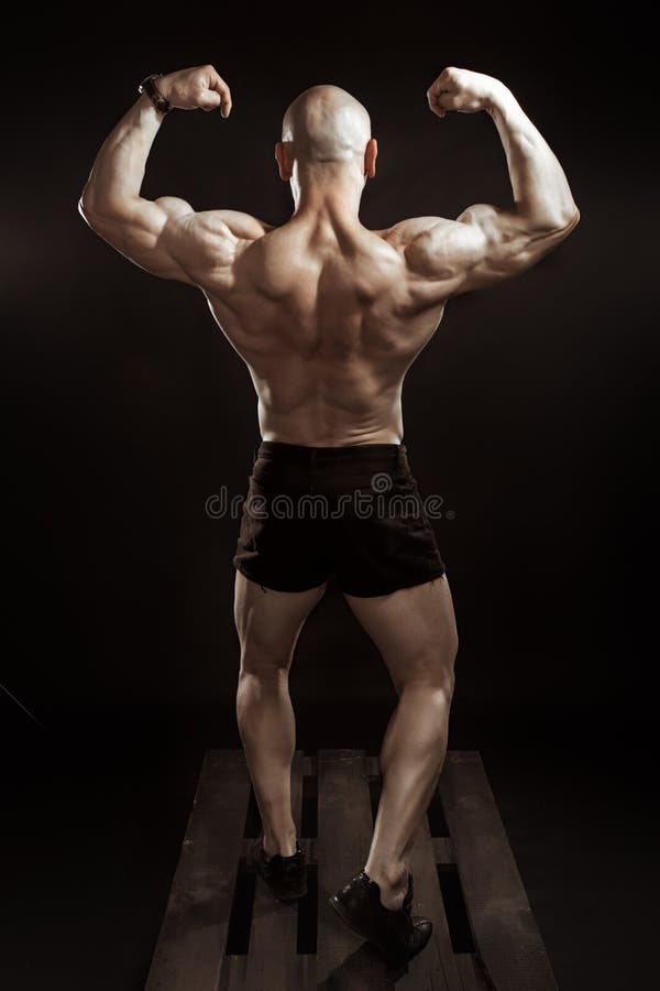 Bodybuilder Shows Back Double Biceps in Studio 库存照片 - 图片 包括有 正横, 运动员 ...