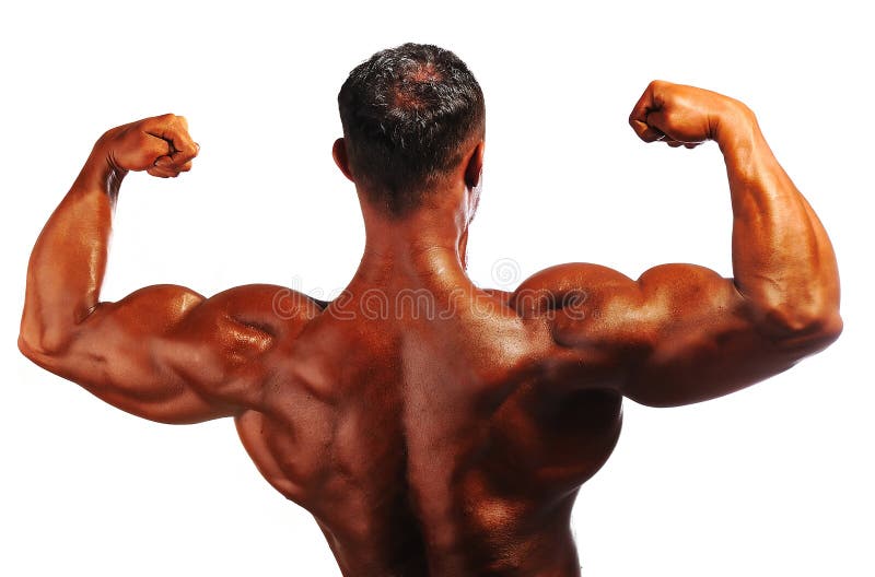 Bodybuilder strong stock photo. Image of abdomen, abdominal - 14018248