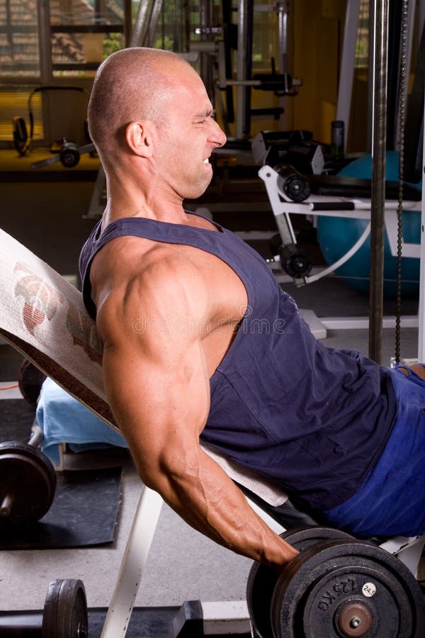 Bodybuilder training stock image. Image of builder, skin - 12345123