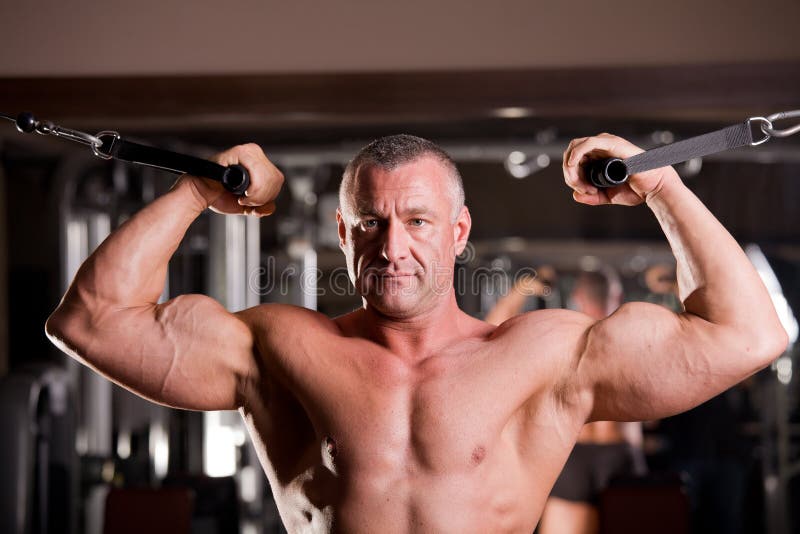Bodybuilder training stock photo. Image of powerful, fitness - 22073854
