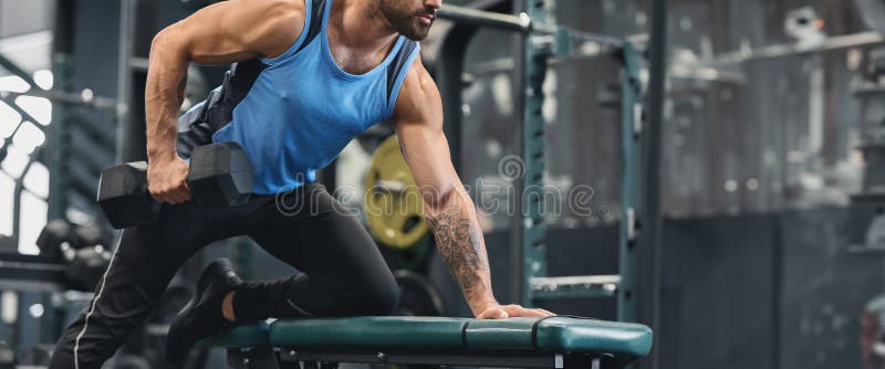 Bodybuilder Training with Dumbbell at Gym Interior Stock Photo - Image ...