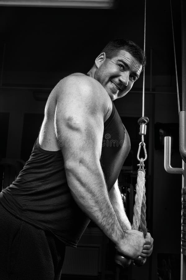 Bodybuilder Training in Gym Stock Photo - Image of athlete, looking ...