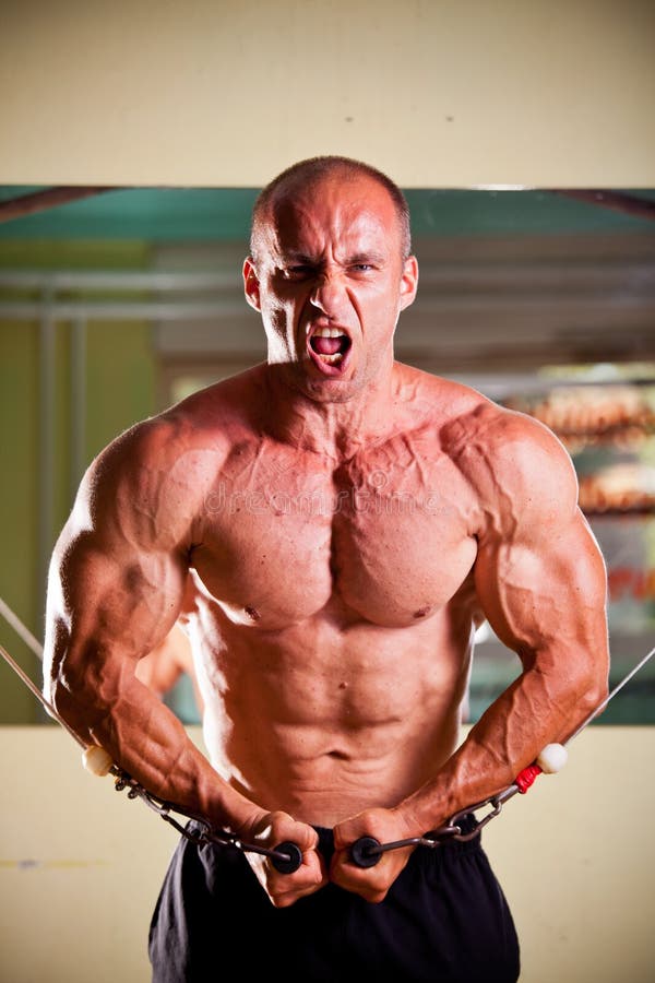 Bodybuilder training stock image. Image of handsome, activity - 36071017