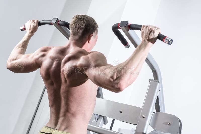 Fit Bodybuilder Posing in Gym. without Head Stock Photo - Image of male ...