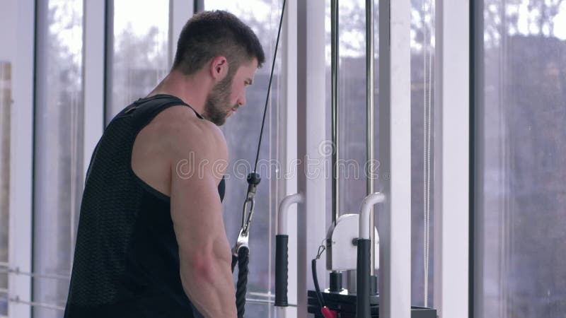 Bodybuilder Training, Sports Guy Doing Muscle Building Workout on ...