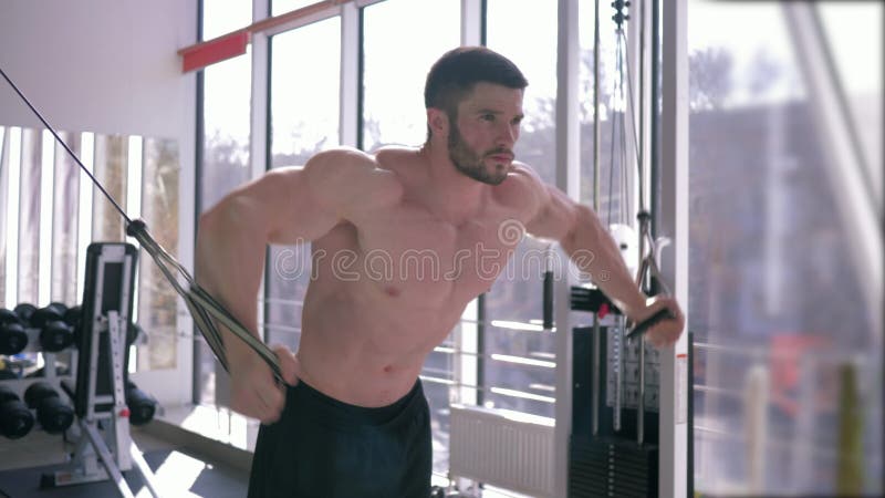 Bodybuilder Training, Strong Athlete Guy Performs an Exercise for ...