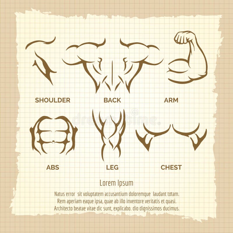Bodybuilder Vintage Poster, Male Muscle Elements Stock Vector ...