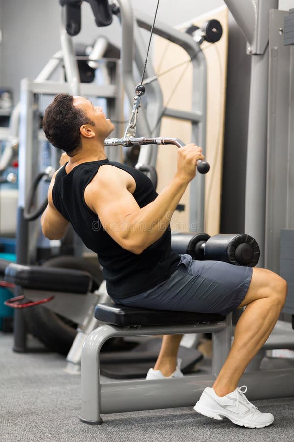 Bodybuilder working out stock photo. Image of healthy - 47297430