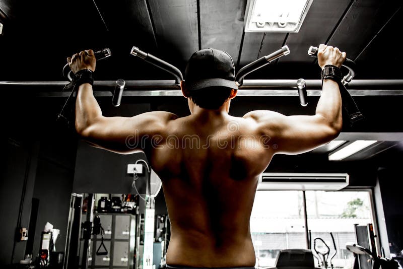 Bodybuilder Working Out in Gym Stock Image - Image of build, beauty ...