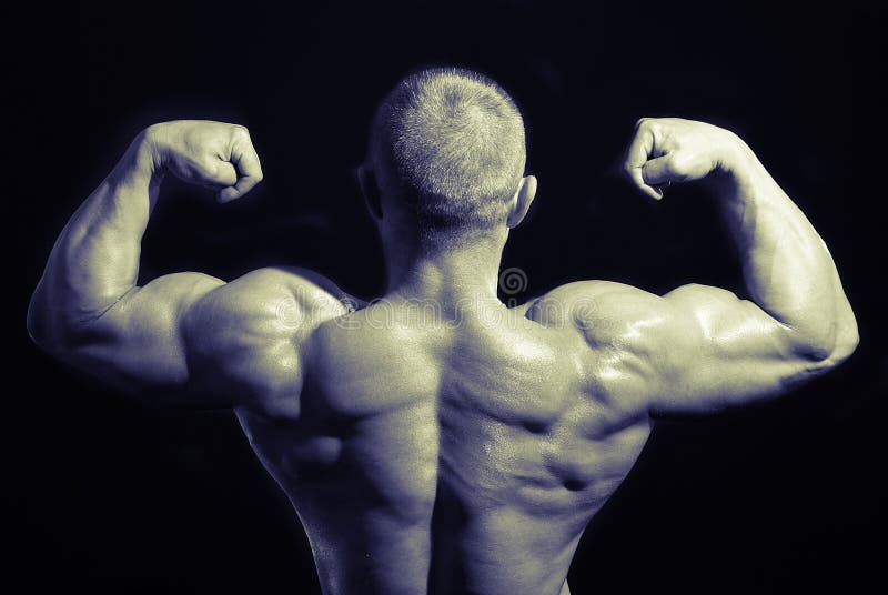 Bodybuilders back stock photo. Image of strong, exercise - 10670270