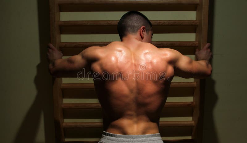 Bodybuilders back stock image. Image of strong, fitness - 38282369