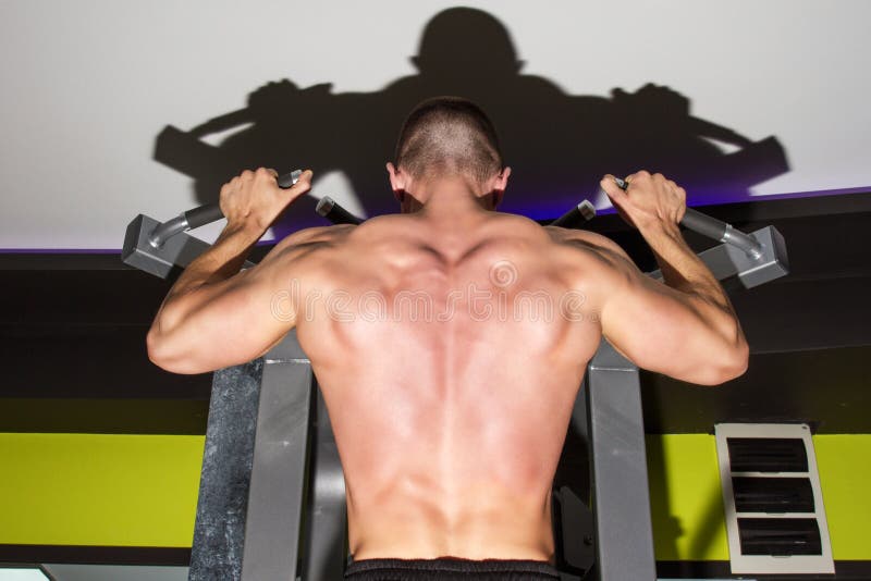 Bodybuilders back stock image. Image of muscle, adult - 62753647