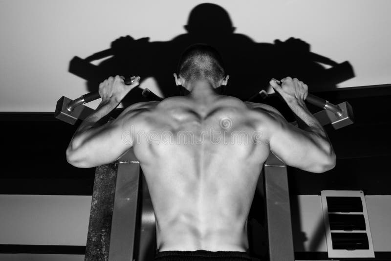 Bodybuilders back stock photo. Image of build, building - 62754496