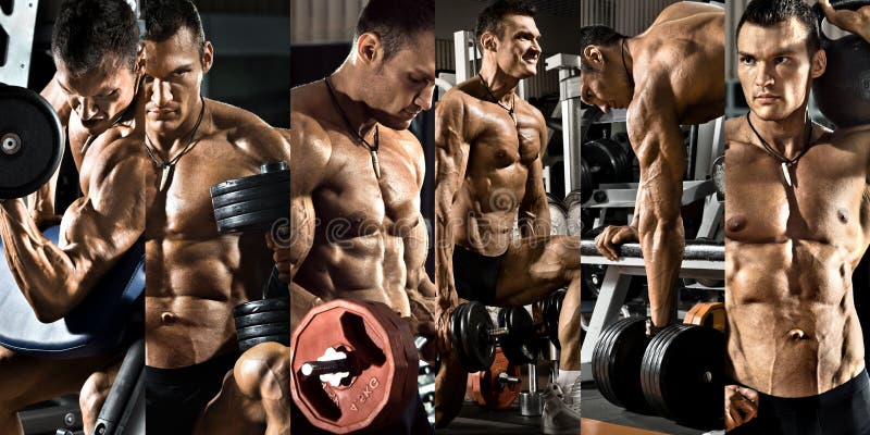 Bodybuilder Bodybuilding Muscles Back Biceps Strong Muscular You Stock ...