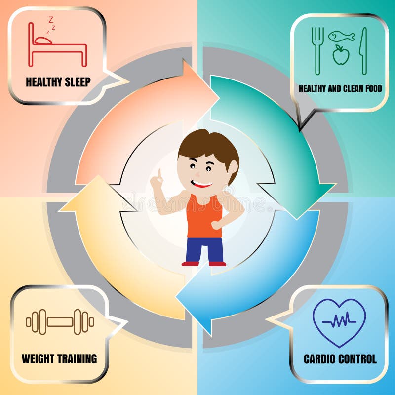 Bodybuilding and Training Cycles for Maximum Strength Stock Vector ...