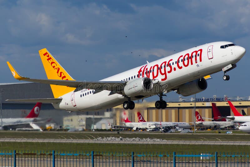 266 Flypgs Photos - Free & Royalty-Free Stock Photos from Dreamstime