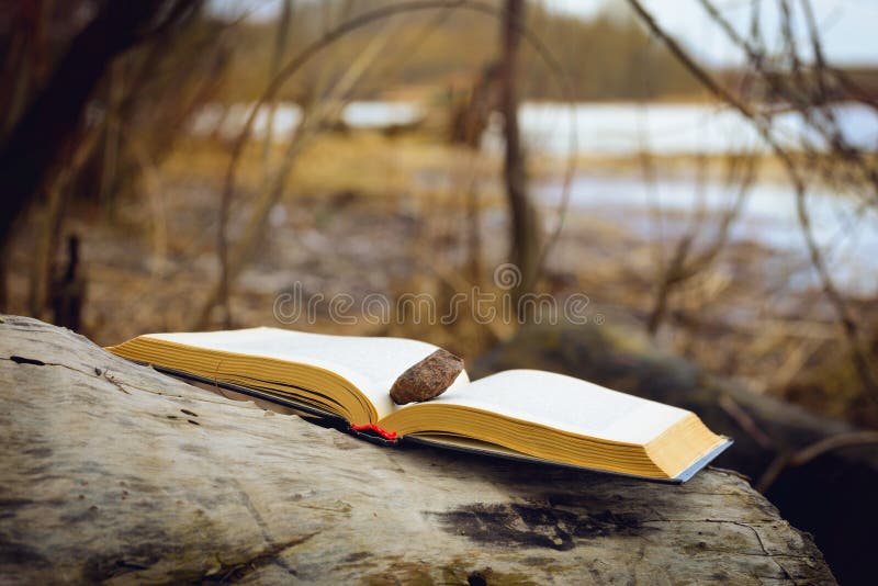 Boek dicht bij de Rivier stock afbeelding. Image of informatie - 52352375