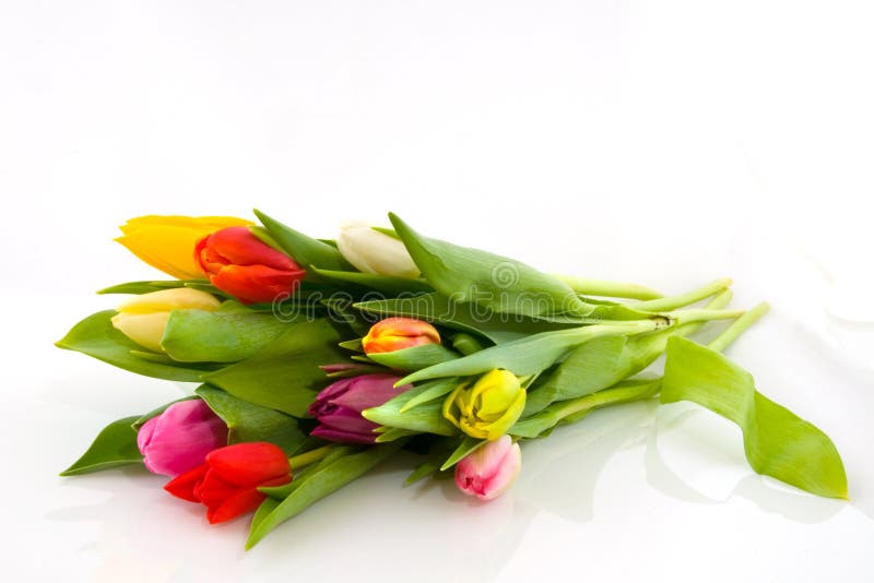 Boeket kleurrijke tulpen stock foto. Image of nederland - 8189210