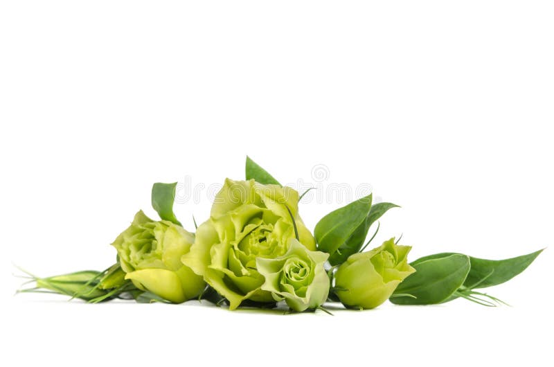 Boeket Van Groene Rozen Op Witte Achtergrond Stock Foto - Image of nave ...