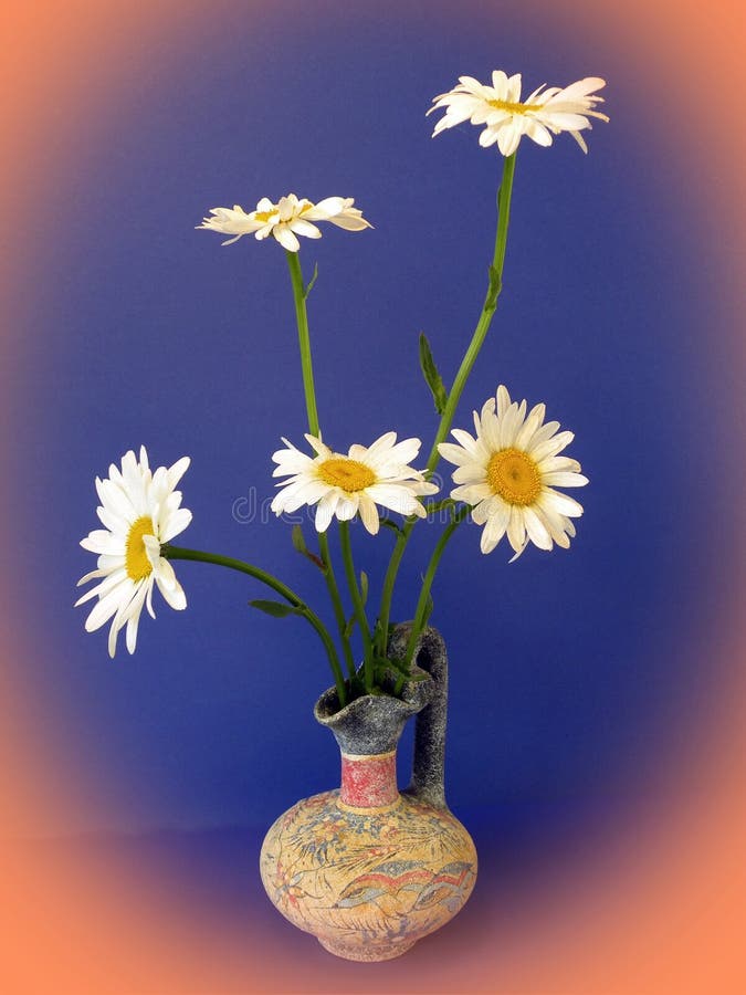 De Gele Bloem Van De Margriet Stock Afbeelding - Image of stamper ...