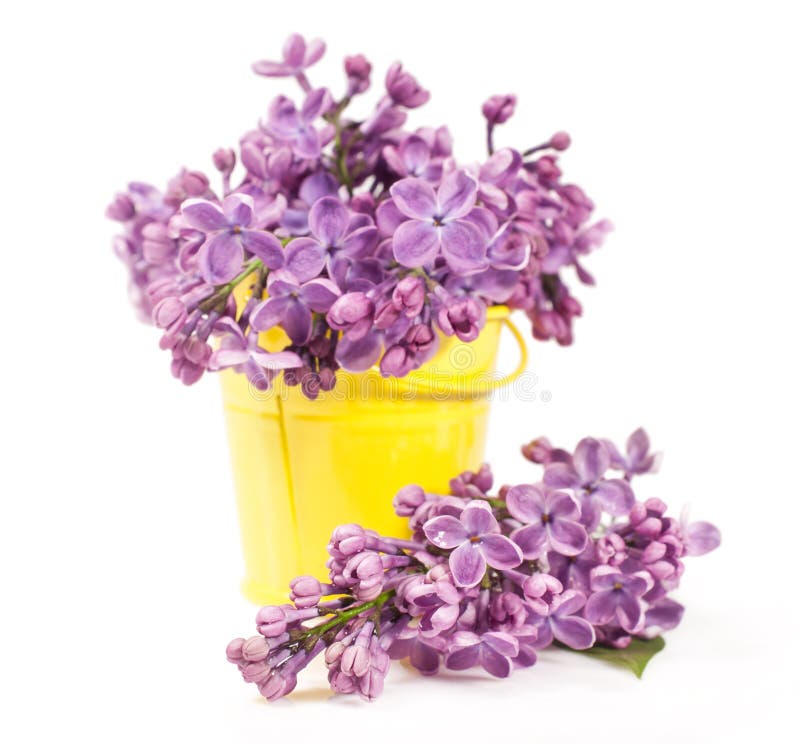 Het Boeket Van De Papaver En Van De Korenbloem in Glas Stock Afbeelding ...