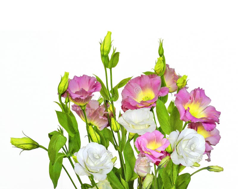 Boeket Van Teder Roze Met De Gele Bloemen Van Eustoma Lisianthus Stock ...