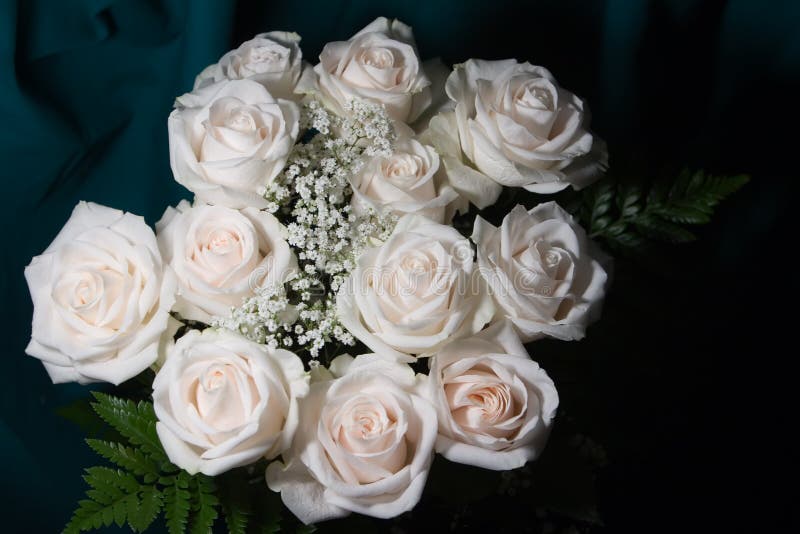 Boeket witte rozen stock afbeelding. Image of zacht, installatie - 1112765
