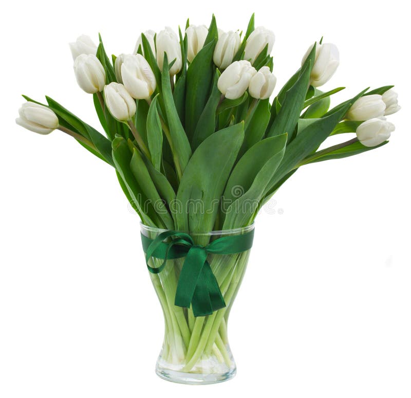 Boeket Van Witte Tulpen in Vaas Stock Afbeelding - Image of geïsoleerd ...