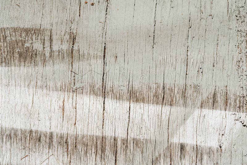 Bog oak texture stock image. Image of plank, handle - 238612691