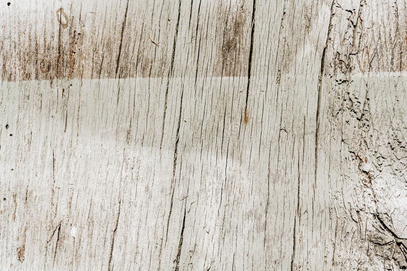 Bog oak texture stock image. Image of plank, rustic - 238612423