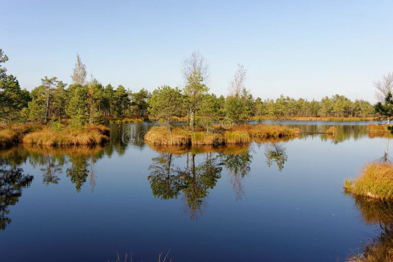 Bog-pools stock photo. Image of mire, brewery, pool, draff - 45333630