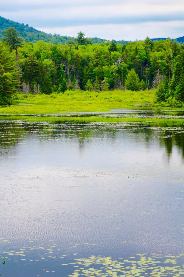 Bog River Flow stock photo. Image of tupper, york, campsites - 95838048