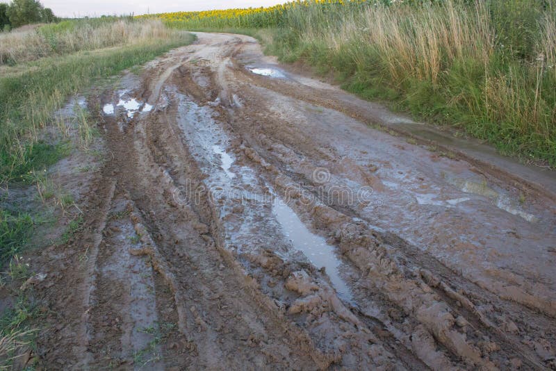 Waterlogged On Road Due To Clogged Drainage System Stock Photo - Image ...