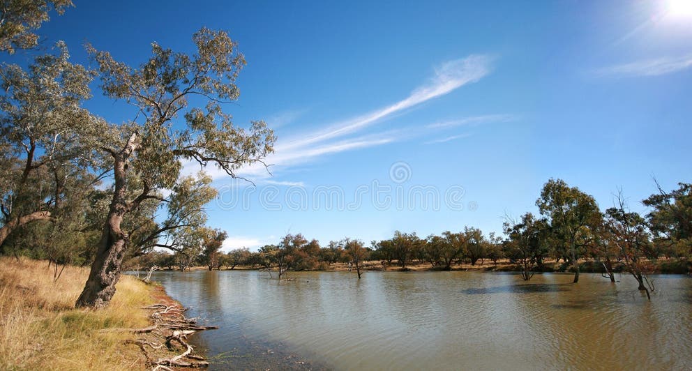 Bogan River stock image. Image of blue, eucalyptus, explore - 15351419