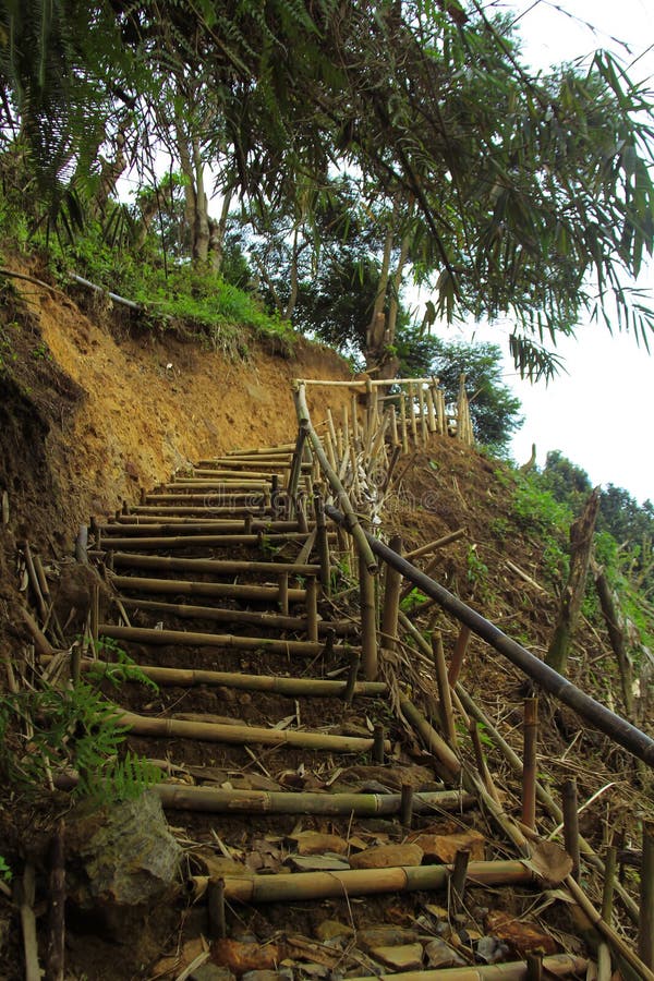 Bogor, August 22, 2021 the Atmosphere of the River Flow on Mount Bunder ...