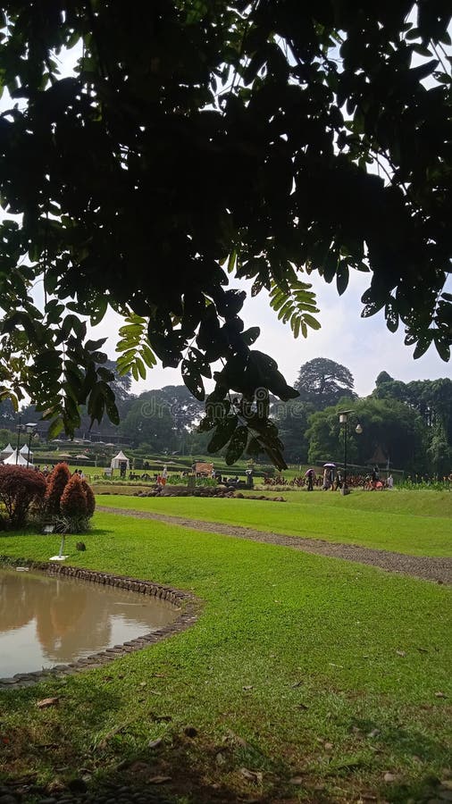 At Bogor Botanical Garden stock photo. Image of park - 248478438